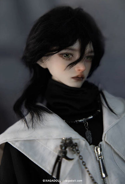 Ball-Jointed Dolls – Dolk BJD