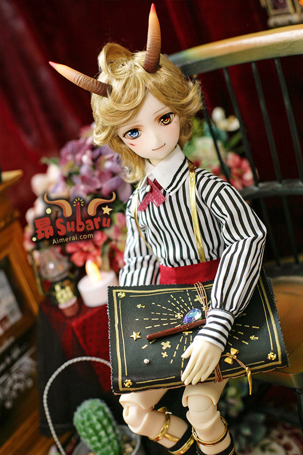 Subaru Ball Jointed Doll Manga Series | Preorder – Dolk BJD